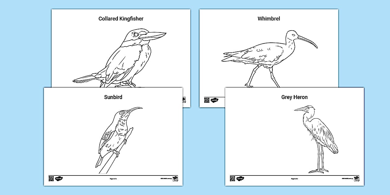 Sungei Buloh Wetland Reserve Birds Colouring Activity
