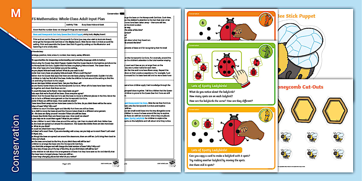 EYFS Maths Bees Hide-and-Seek Adult Input Plan and Resources
