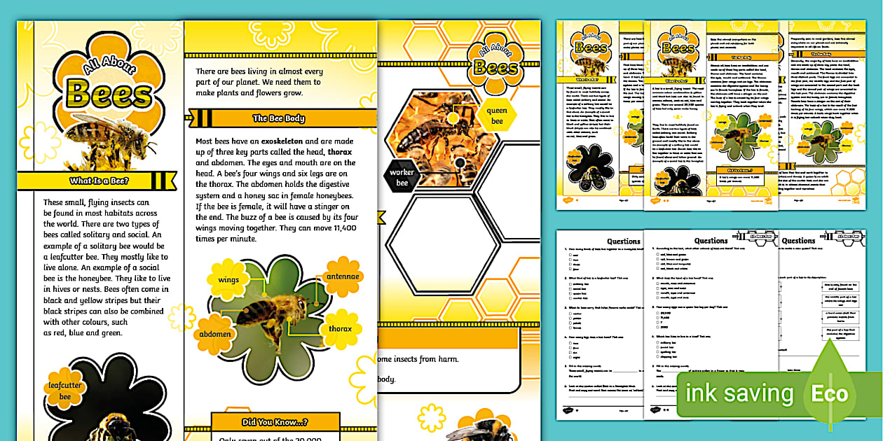 LKS2 All About Bees Differentiated Comprehension Activity