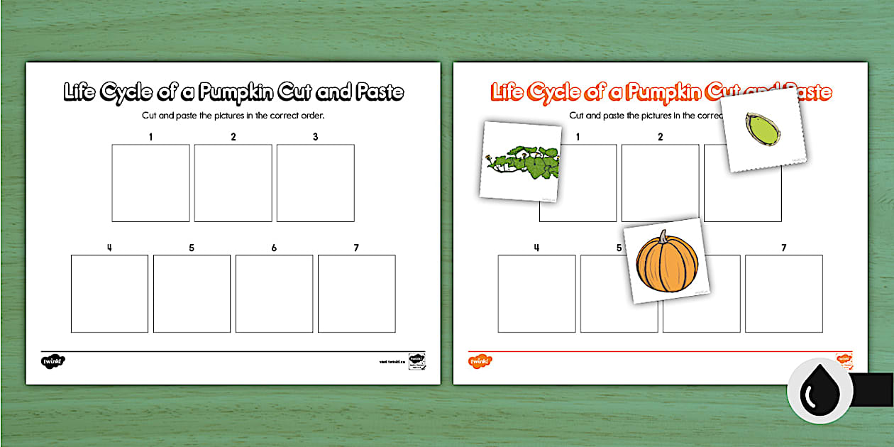 Life Cycle of a Pumpkin Cut and Paste Activity - Twinkl