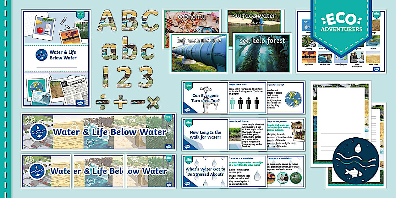 Year 6 Water & Life Below Water Display Pack (teacher made)