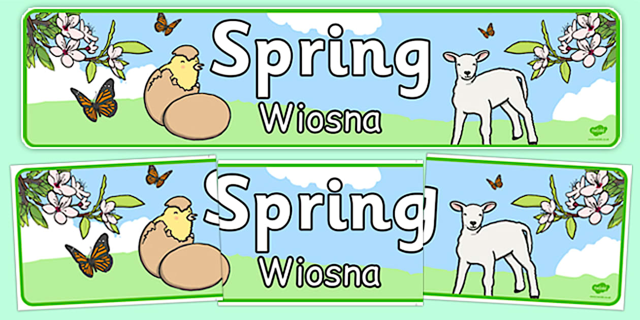 Spring Display Banner Polish Translation (teacher made)