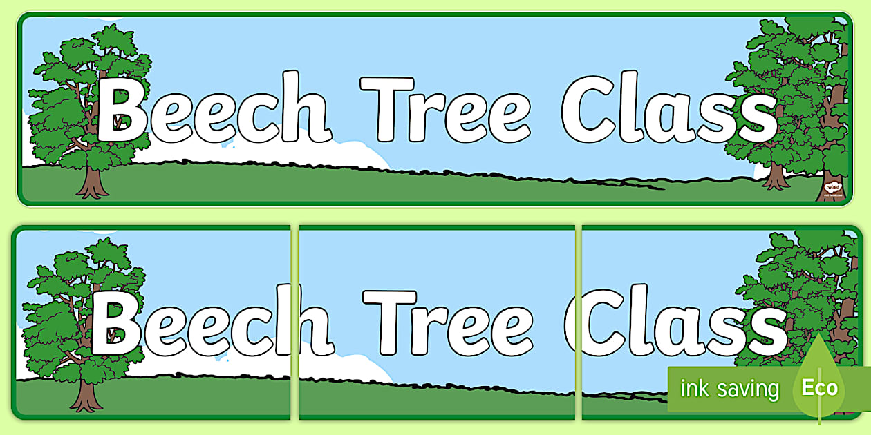Beech Tree Themed Classroom Display Banner - Twinkl