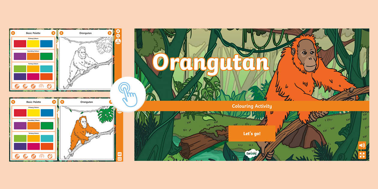 Orangutan Interactive Colouring - Twinkl - KS1 - Twinkl