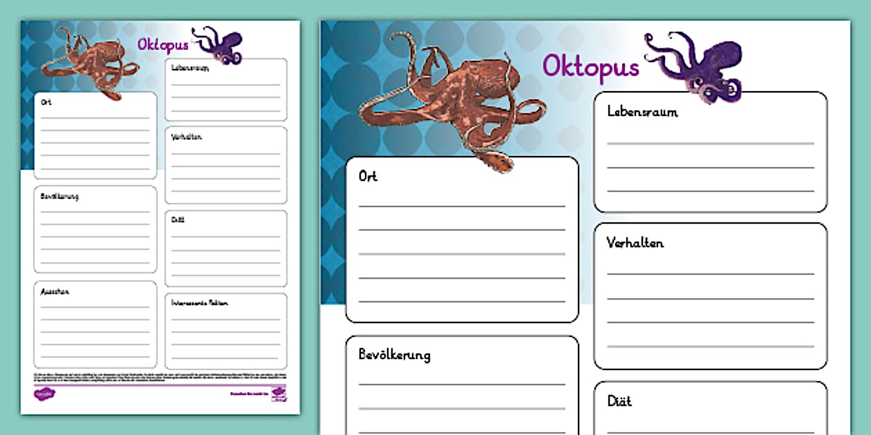 Oktopus - Fakten Schreibvorlage (teacher made) - Twinkl