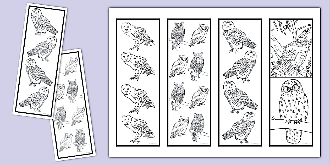 Owl Colouring Bookmarks (teacher made) - Twinkl