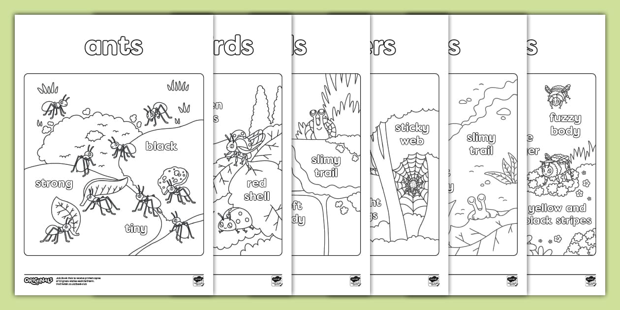 Describing Minibeasts Picture and Word Colouring Sheets