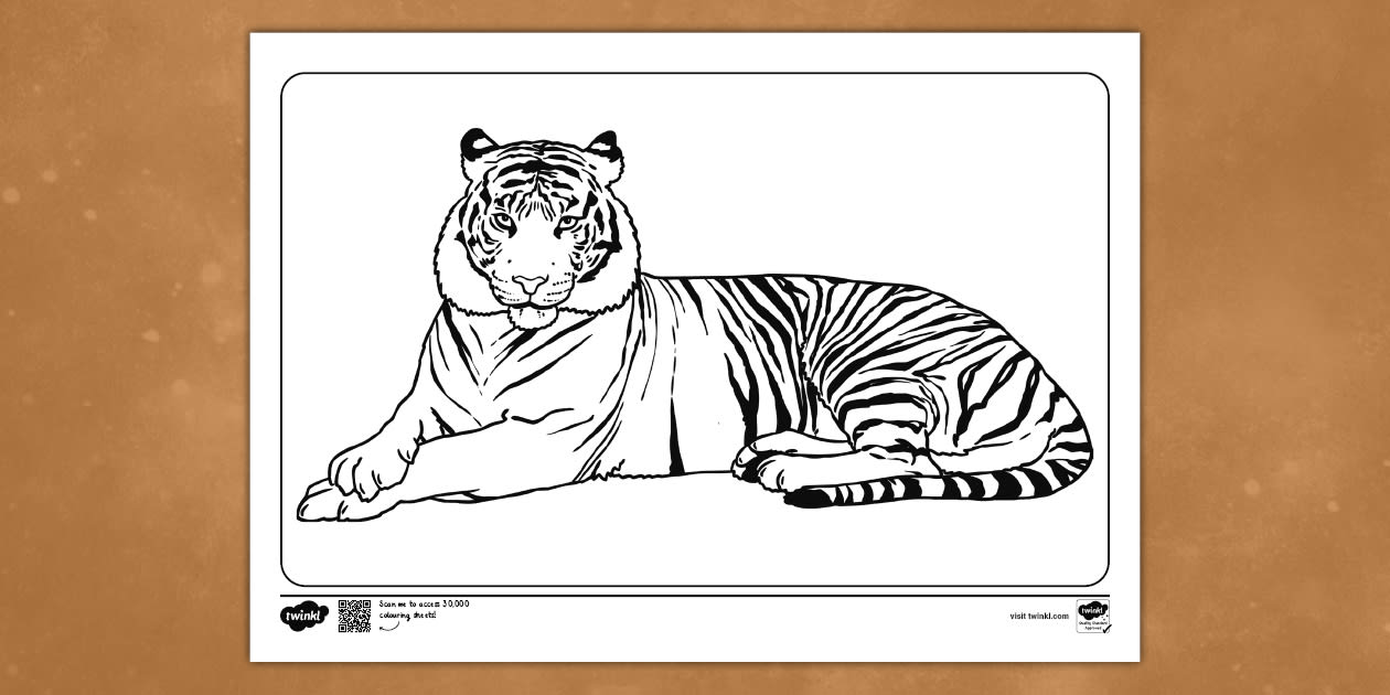 Tiger Colouring Sheet | Colouring Sheets (teacher made)