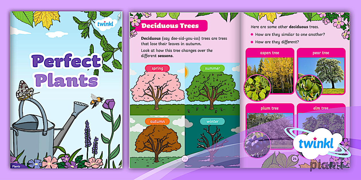 Plants Children's Book | Perfect Plants | Year 1 Science