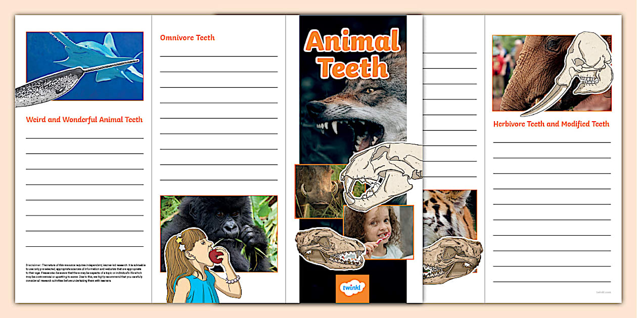 Animal Teeth Leaflet Template - Twinkl Science - Twinkl