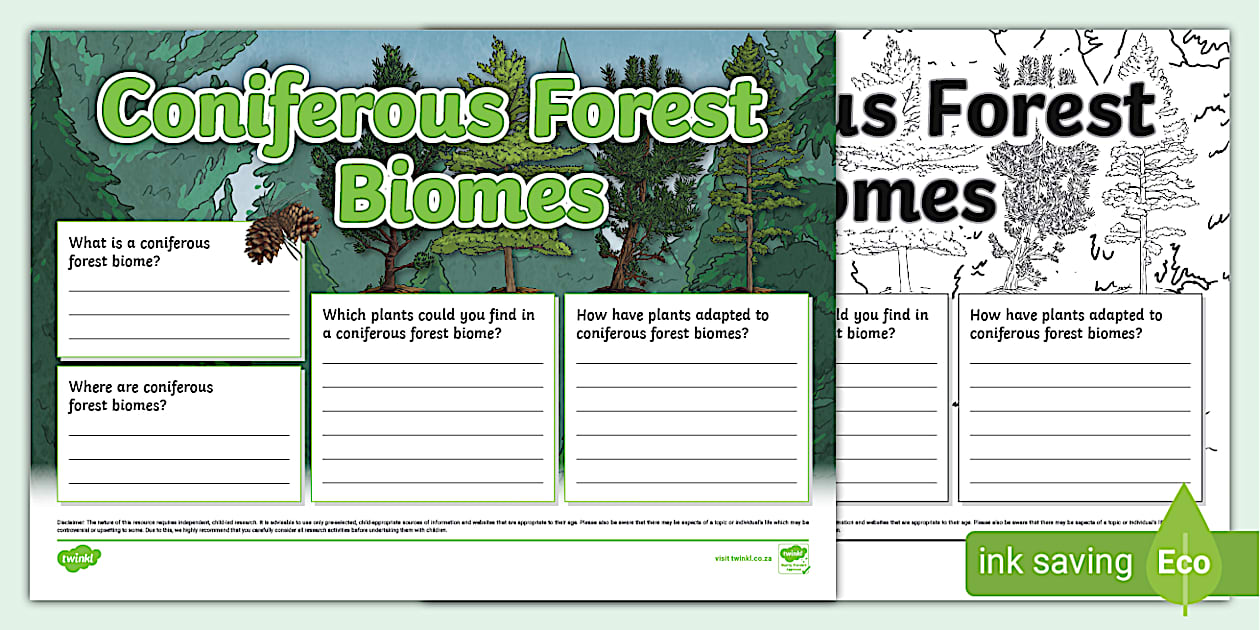 Coniferous Forest Biomes Fact File Template (Teacher-Made)