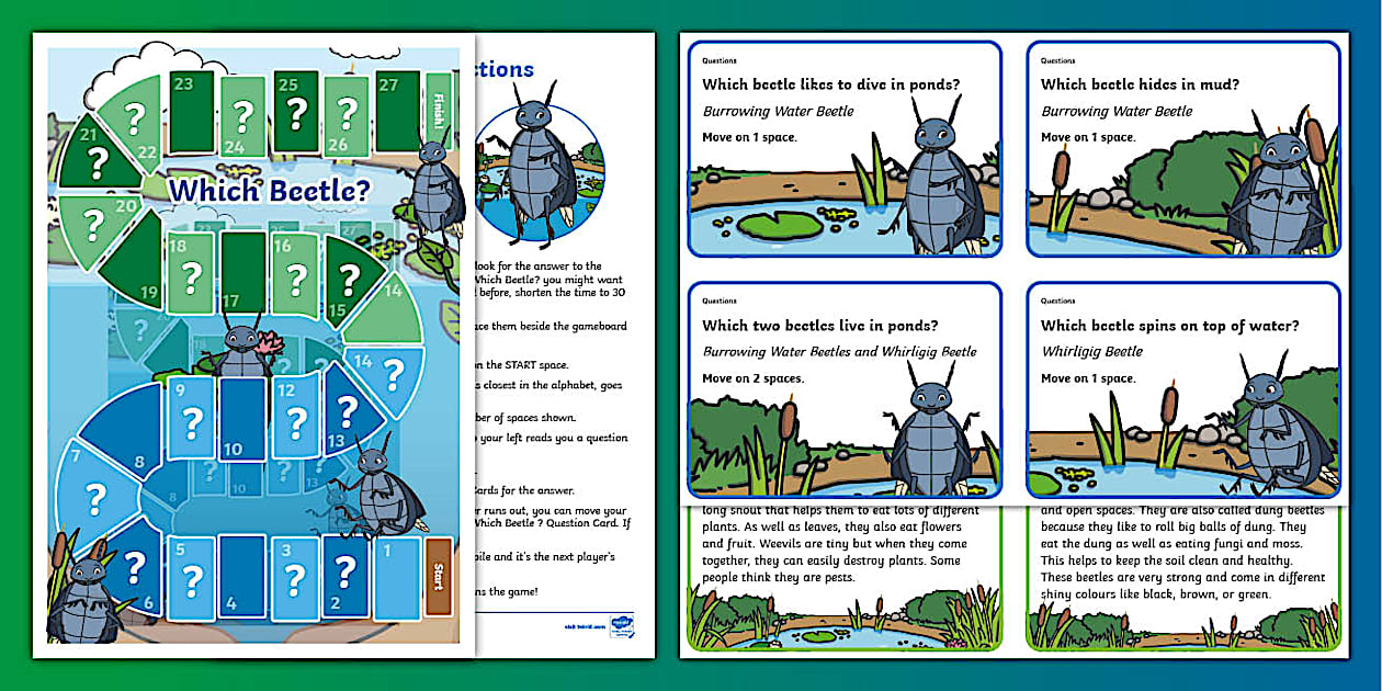Which Beetle? Board Game (teacher made) - Twinkl