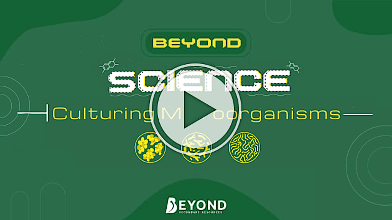 Culturing Microorganisms KS4 Cell Biology Video - Twinkl