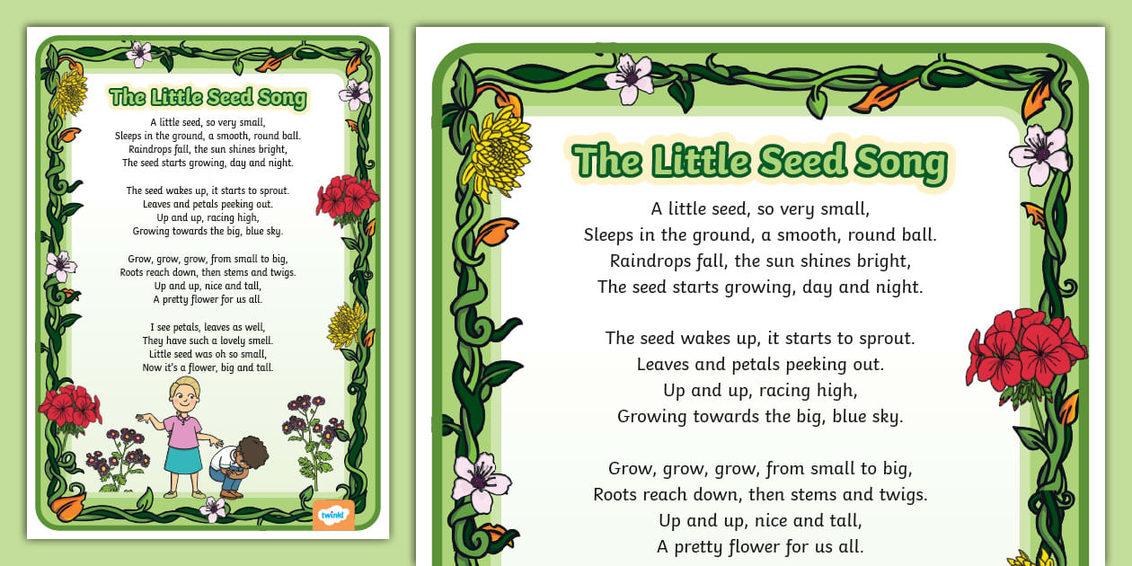 The Little Seed Song (teacher made) - Twinkl