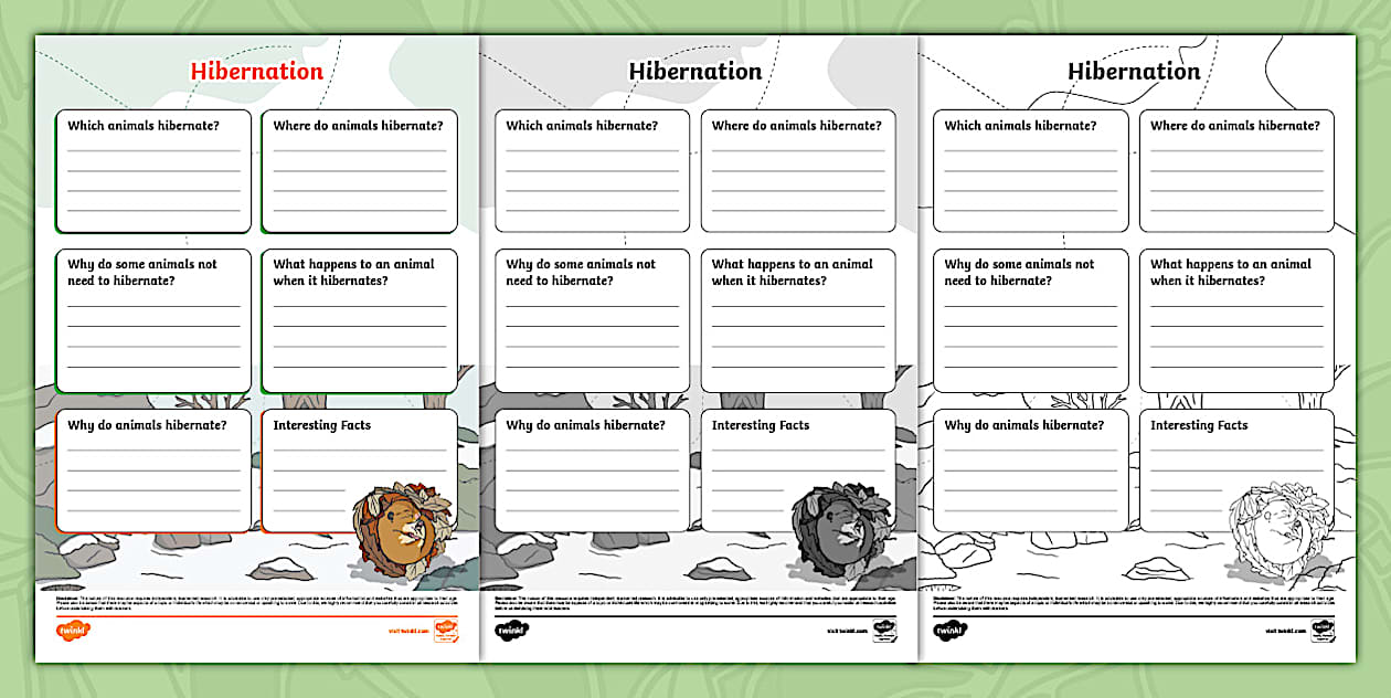 Hibernation Fact File Template (Teacher-Made) - Twinkl
