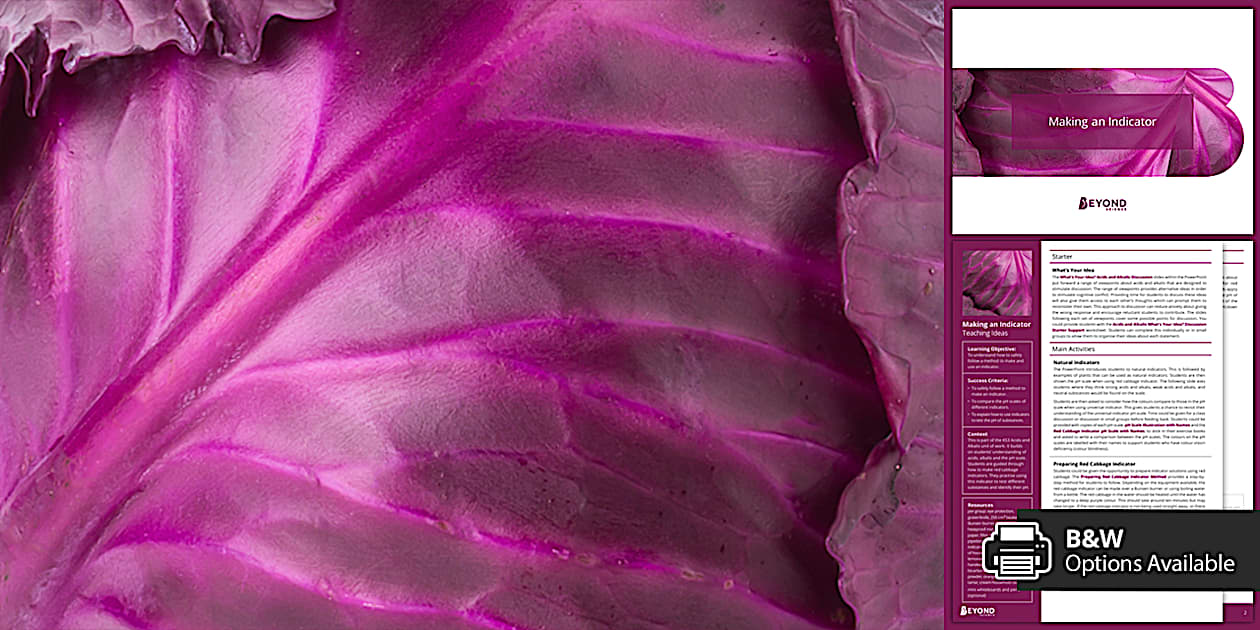 Making an Indicator Lesson 2 | Beyond Science (teacher made)