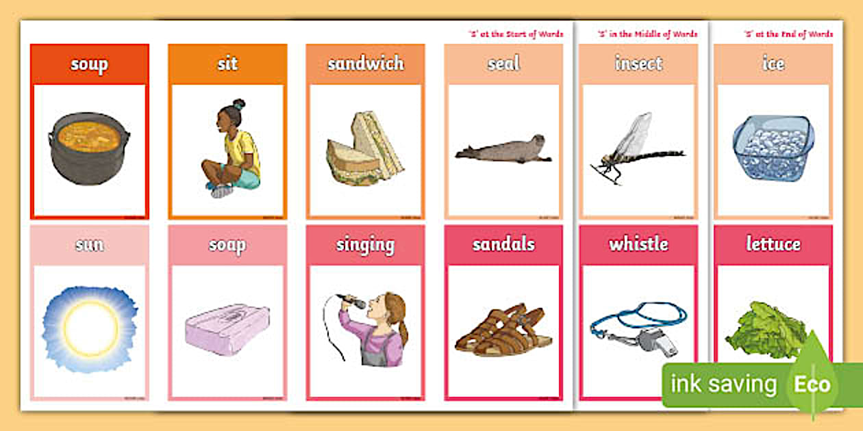 'S' Sound All Word Position Flashcards (teacher made)