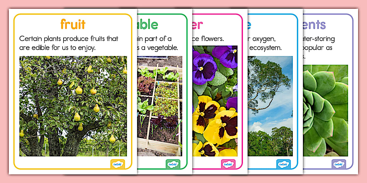 Types of Plants Posters (teacher made) - Twinkl