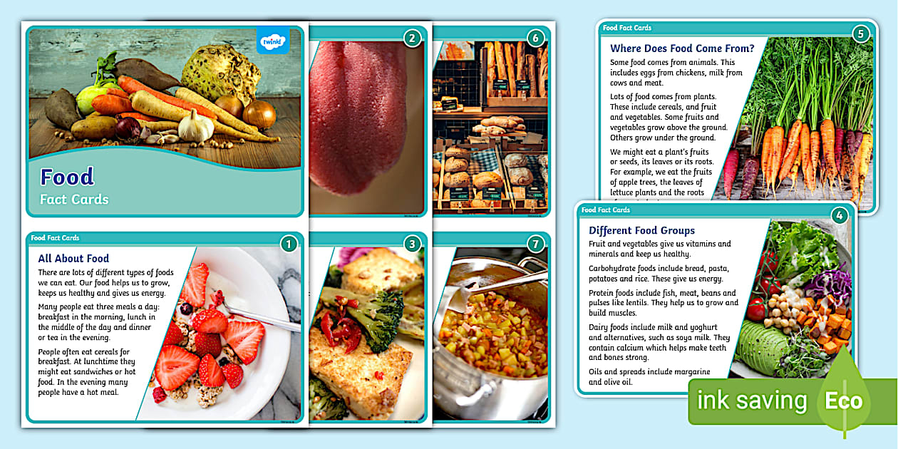 Kindergarten Food Fact Cards | Twinkl
