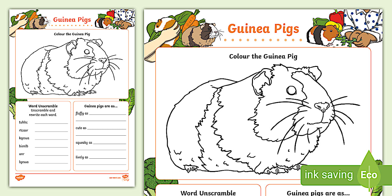 Guinea Pigs Boredom Buster Worksheet