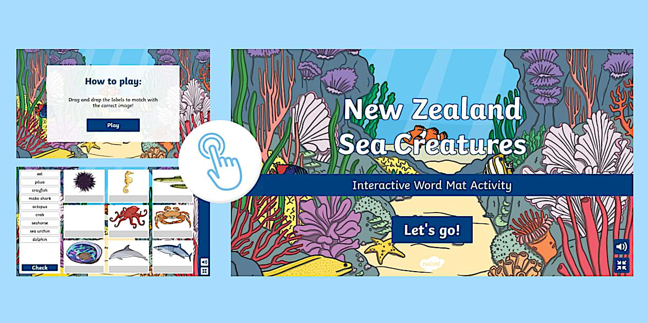 New Zealand Sea Creatures Interactive Word Mat Activity