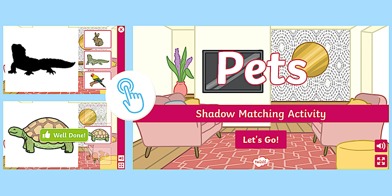 Pets Shadow Matching Activity (Teacher-Made) - Twinkl