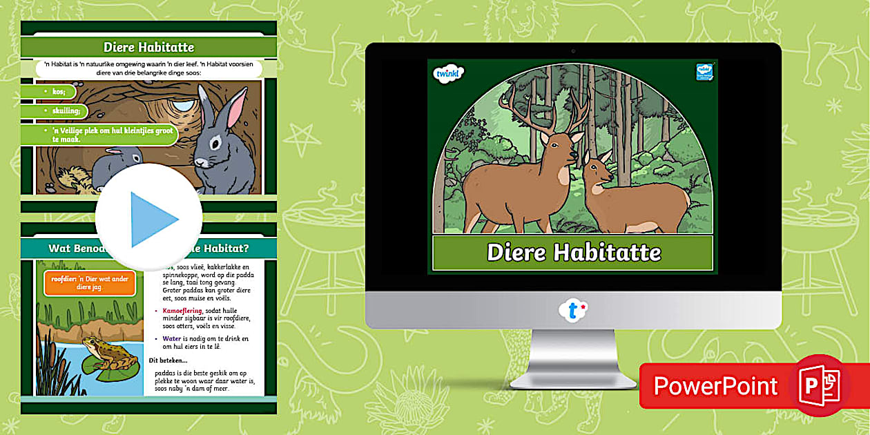 Diere Habitatte Powerpoint (teacher made) - Twinkl