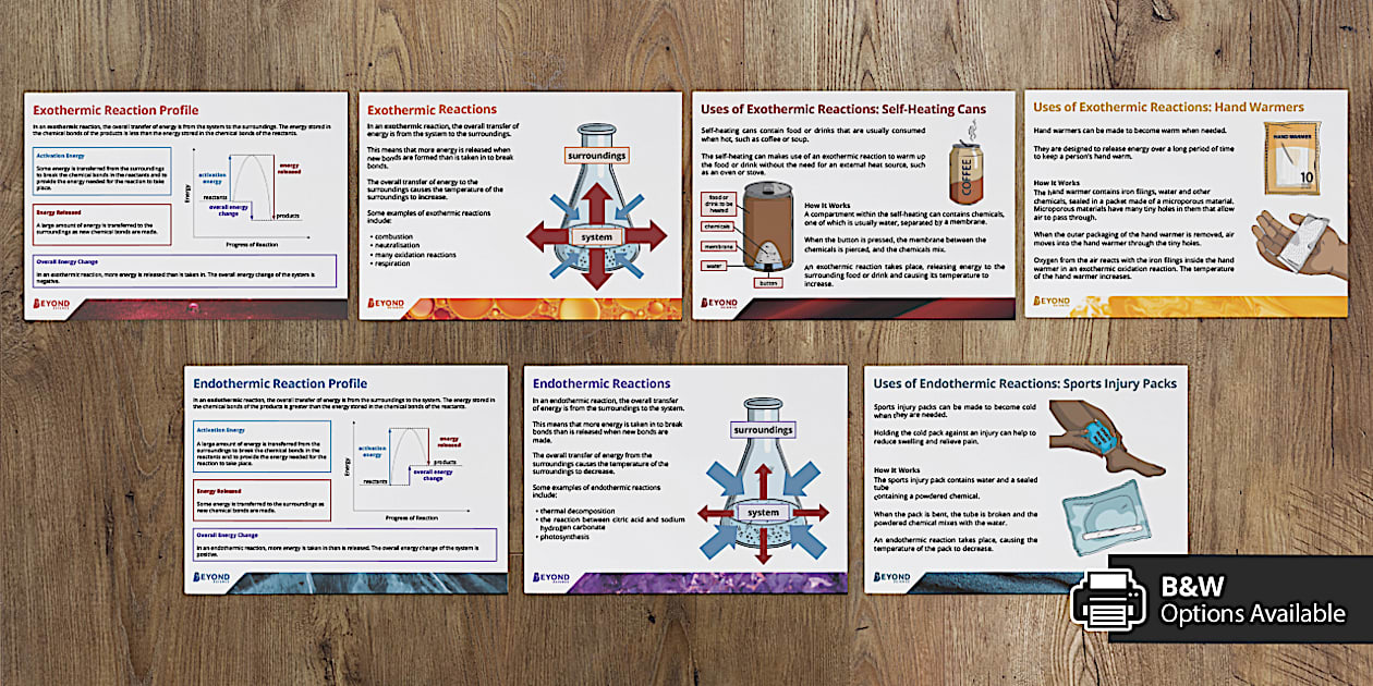 Endothermic and Exothermic Reactions Information Posters