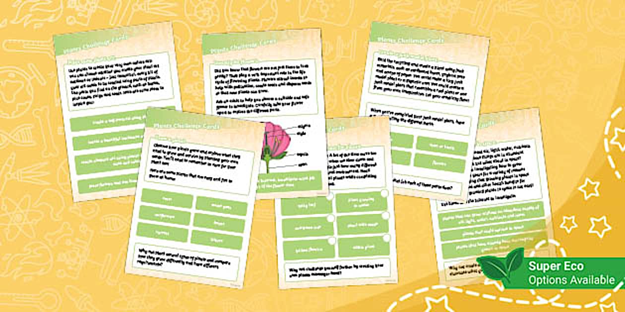 Plants Challenge Cards (Ages 7 - 11) (teacher made) - Twinkl