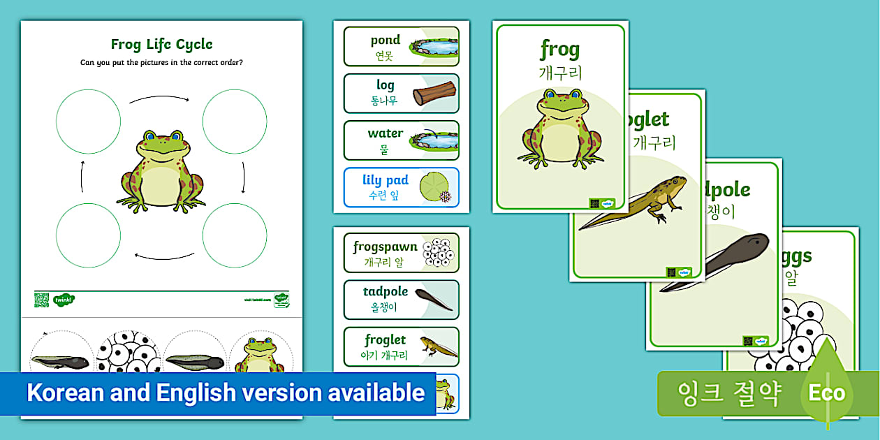 개구리의 성장과정 활동팩 Life Cycle of a Frog Activity Pack