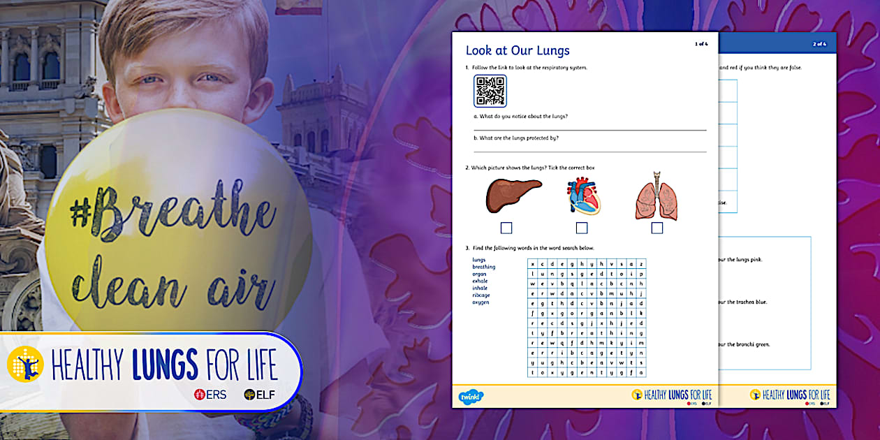 FREE! - KS1 A Look at Our Lungs Activity Sheet - Twinkl