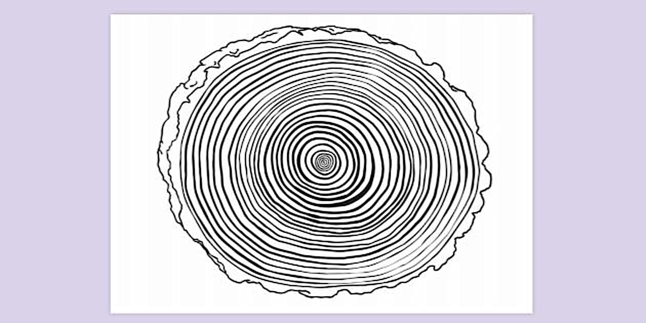 Cross Section of Tree Trunk Colouring Sheet | Colouring Sheets