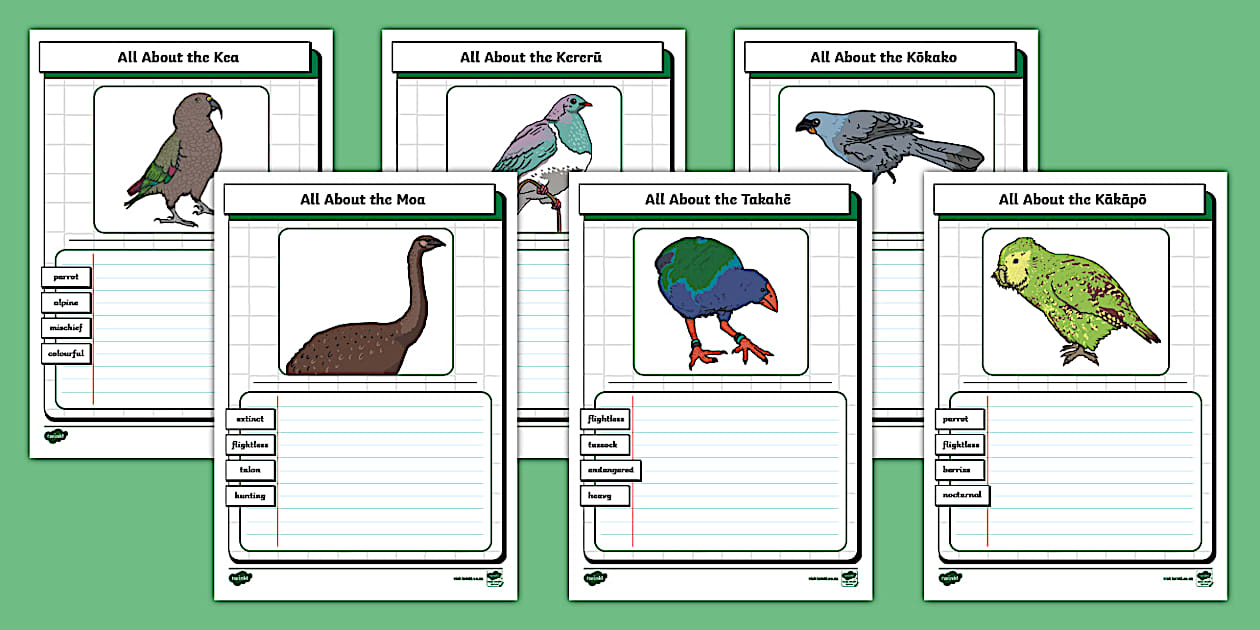New Zealand Birds Early Writing Prompts - Twinkl
