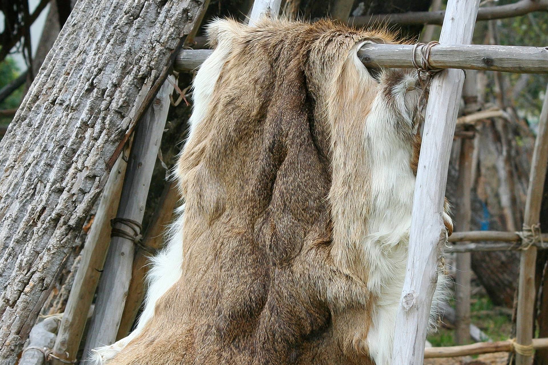 Stone Age Classroom Starters & Teaching Ideas - Twinkl