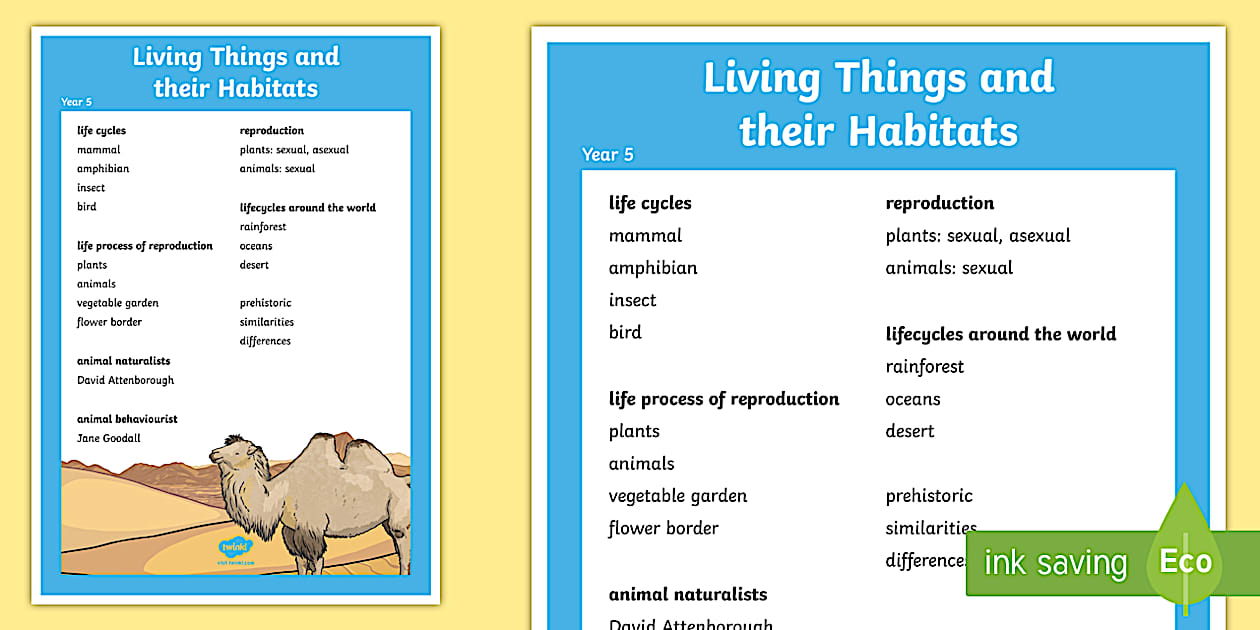 Editable Year 5 Living Things and their Habitats Scientific Vocabulary ...