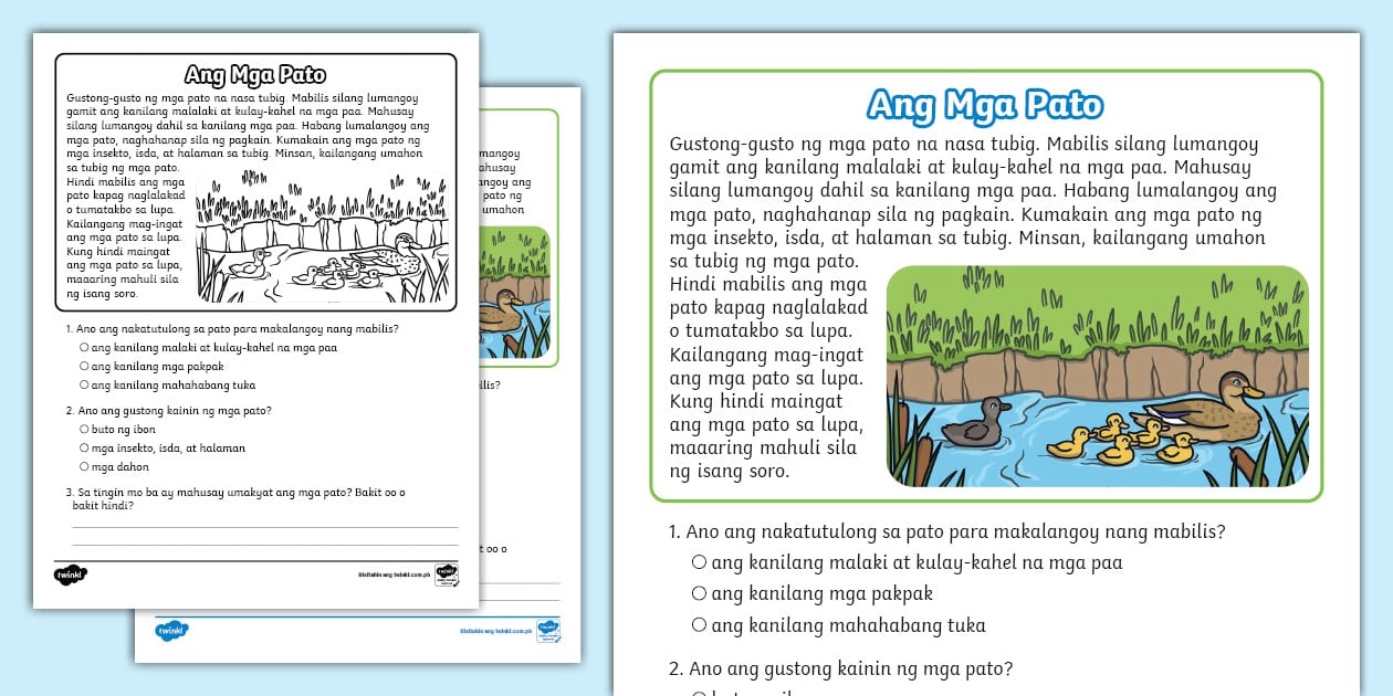 Ang Mga Pato | Grade 1 | Twinkl PH (teacher made) - Twinkl