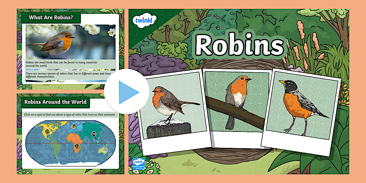 KS2 Robins PowerPoint (teacher made) - Twinkl