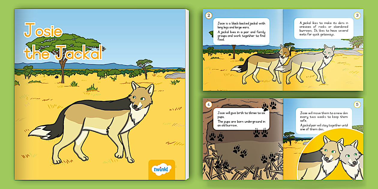 Picture Story - Josie the Jackal eBook (teacher made)