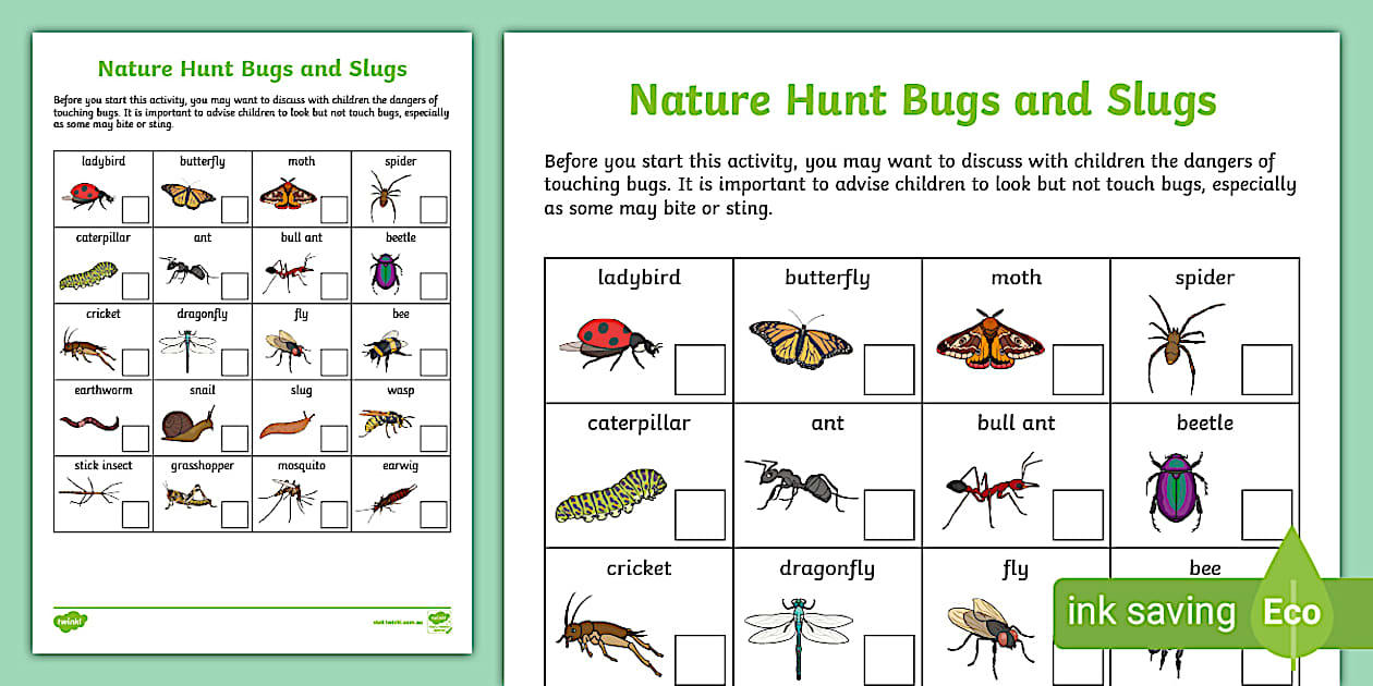 Nature Hunt Bugs and Slugs