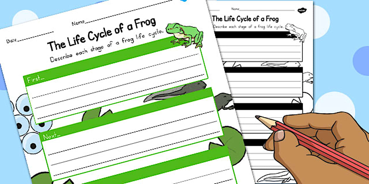 Editable The Life Cycle of a Frog Writing Frame - Twinkl