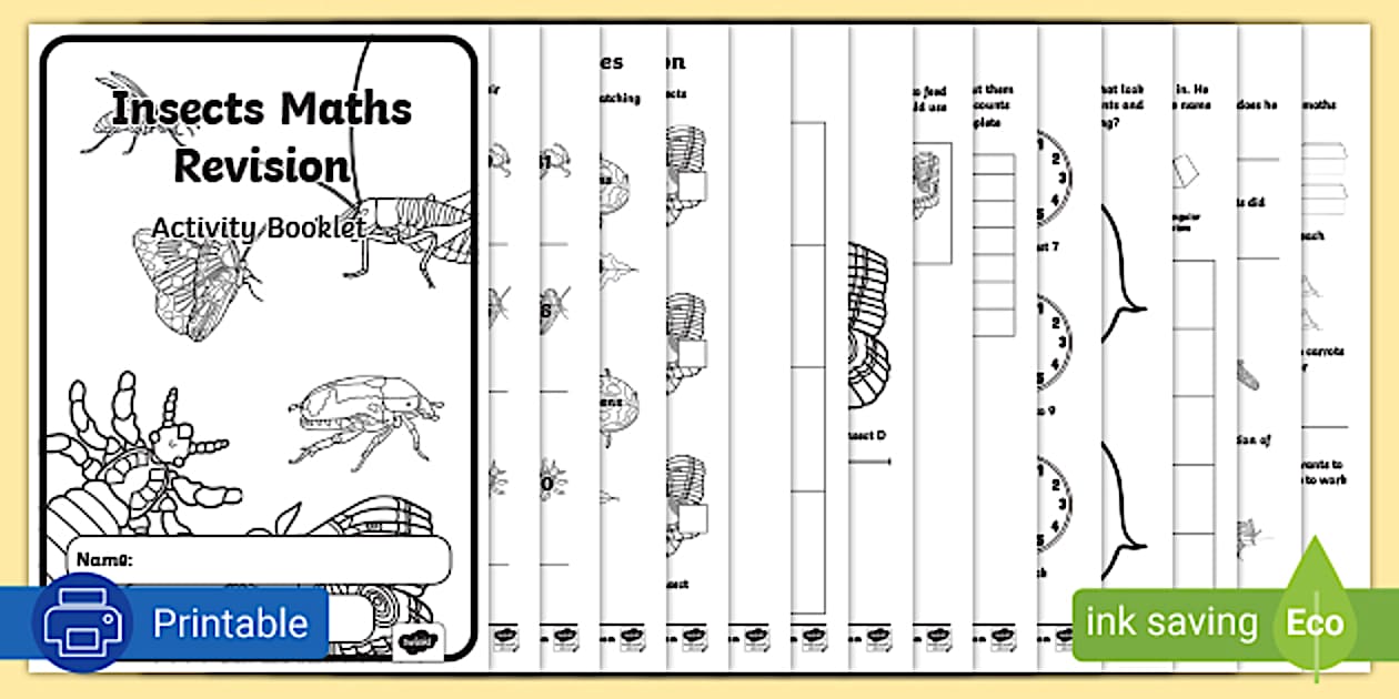 Maths Questions | Insect-Themed Revision Activity Booklet