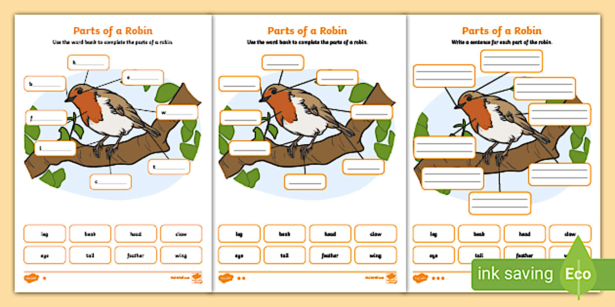 Parts of a Robin Labelling Worksheet - Animals - Science