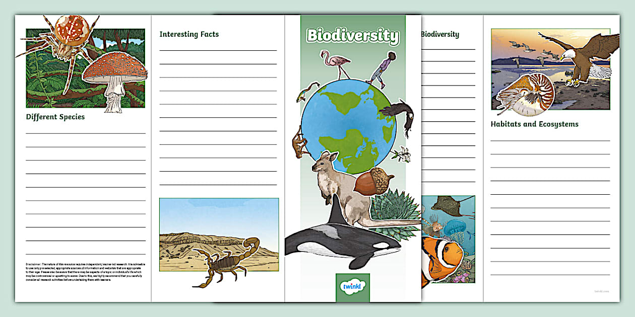 Biodiversity Leaflet Template - Twinkl SESE (teacher made)
