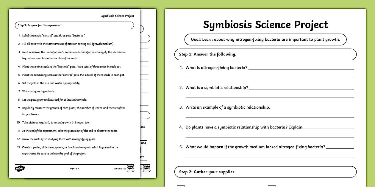 Nitrogen Fixing Bacteria | Science Project | Twinkl USA