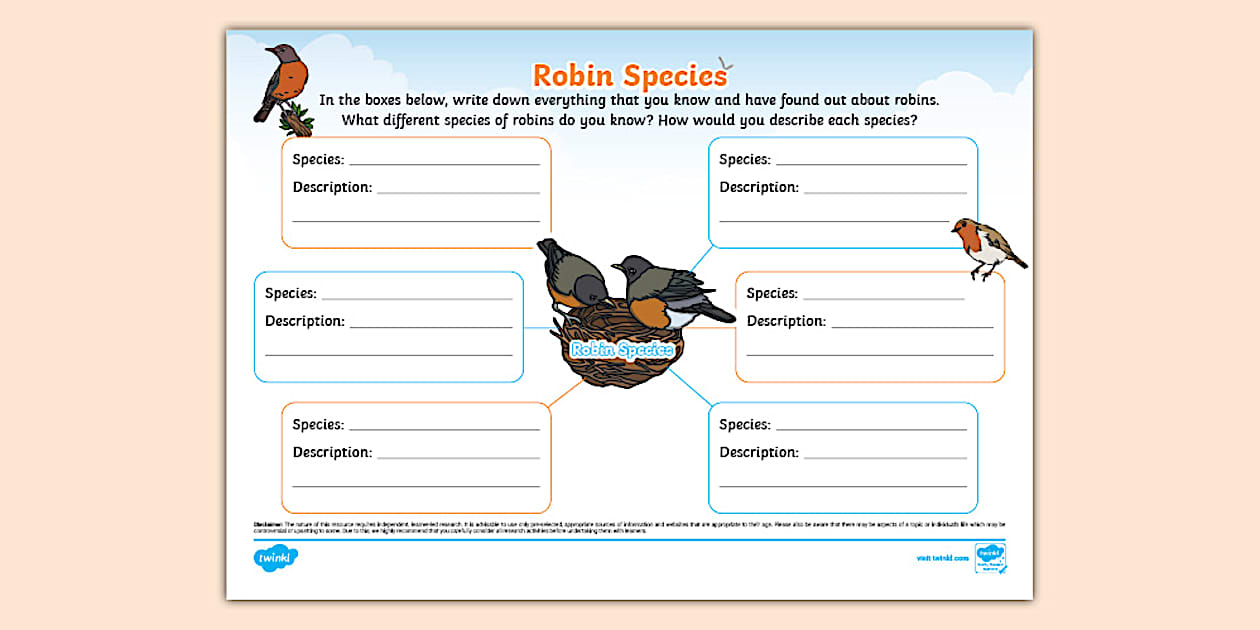 Robin Species Mind Map - Twinkl Mind Maps