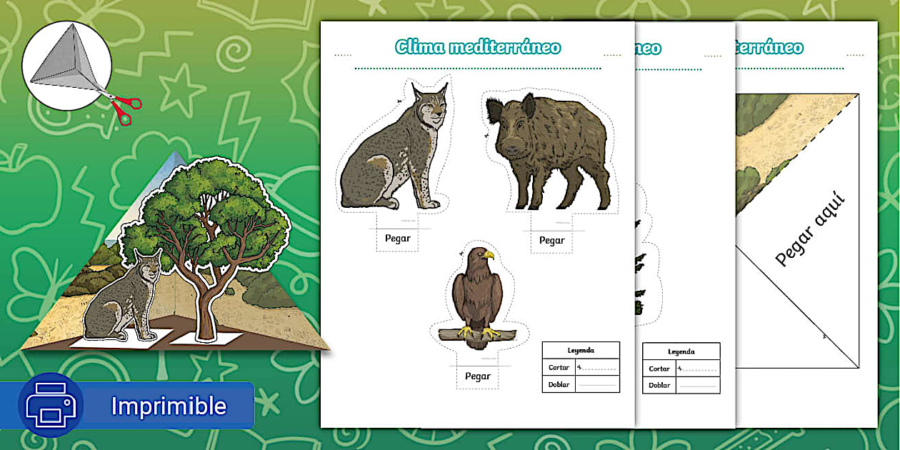 Triorama: Clima mediterráneo (teacher made) - Twinkl