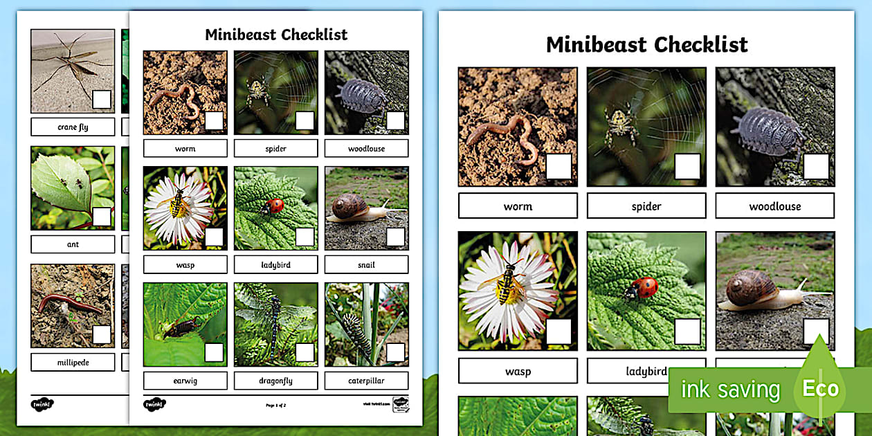 Minibeast Photo Checklist Worksheet / Worksheet - Twinkl