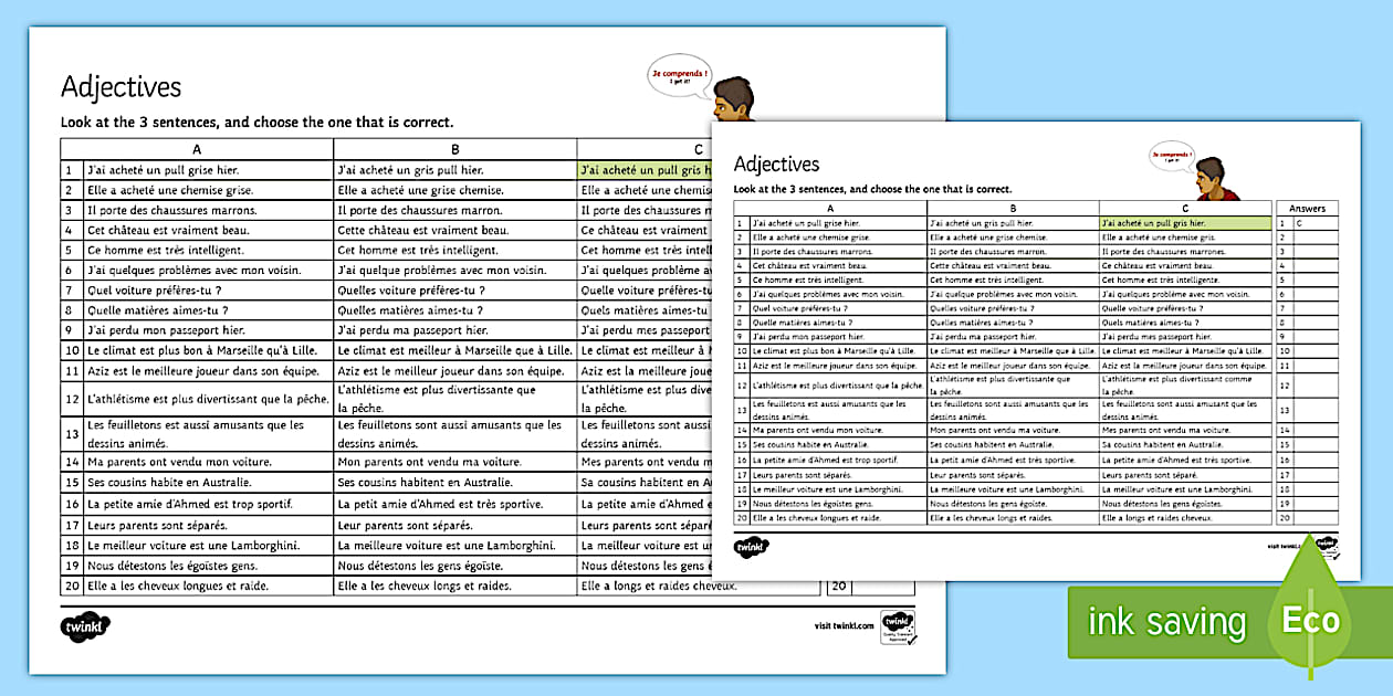 French Adjectives Choose the Right One Worksheet - Twinkl