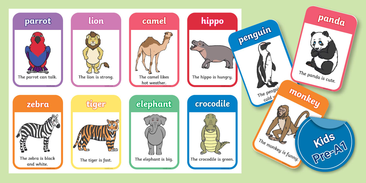 ESL English for Beginners Zoo Animals Flashcards [Pre-A1]