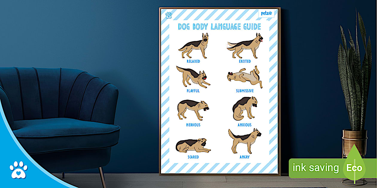Dog Body Language Guide - Display Poster (teacher made)